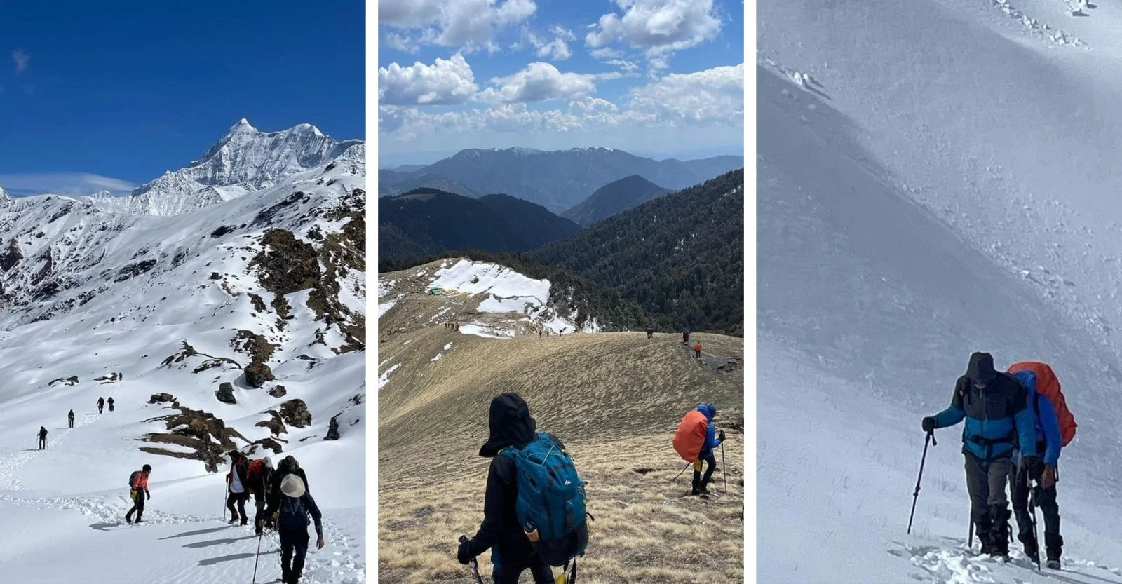 Ali Bedni Bugyal Trek 2026 - The Mountain Trekker